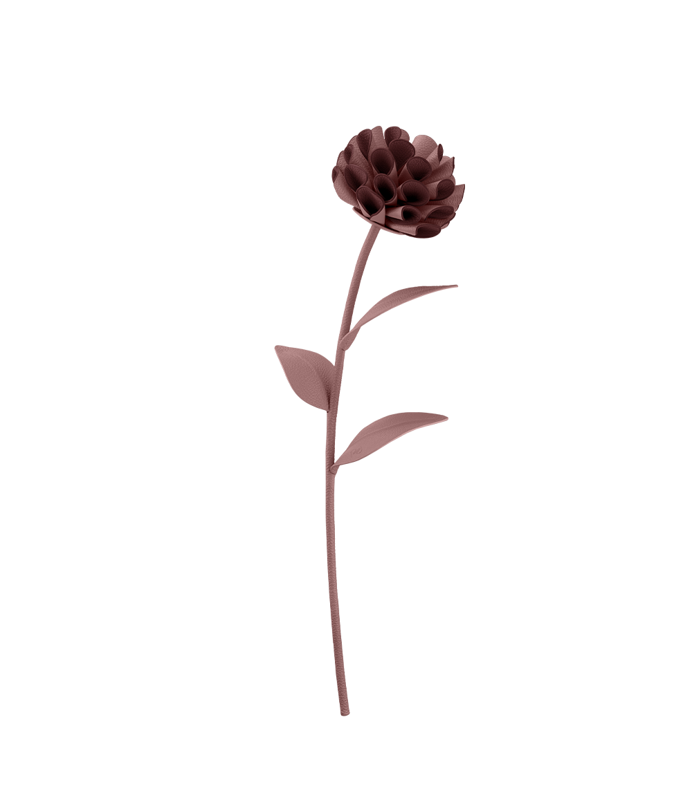 Polène | Flowers - Dalium - Lilac – Polène DK